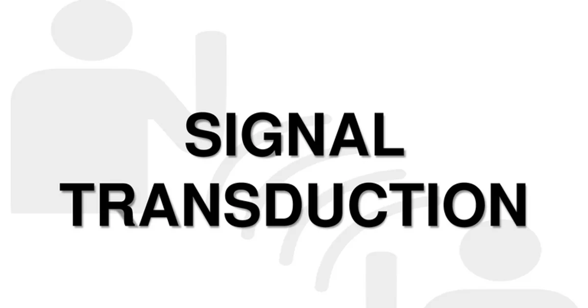 Signal Transduction | Algor Library
