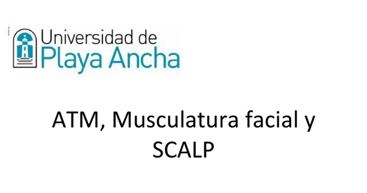 ATM, Musculatura Facial y SCALP, UPLA | Algor Library