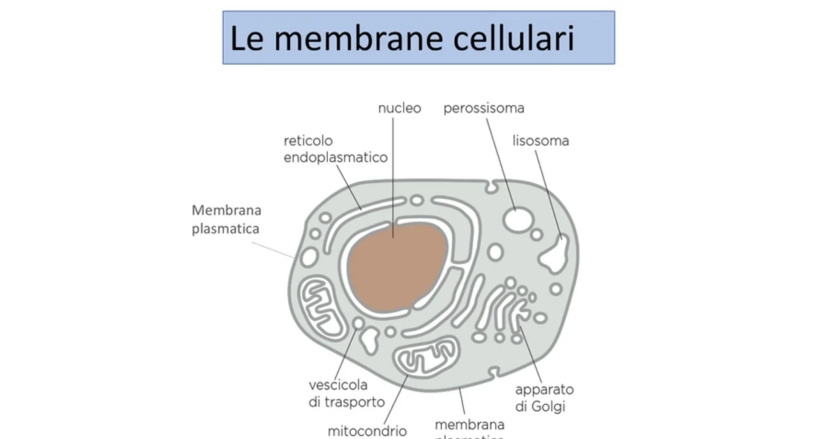 Le Membrane Cellulari, Garland Science | Algor Library