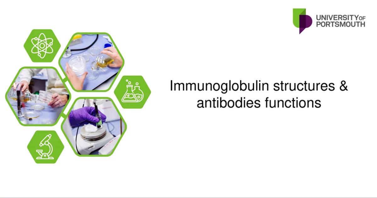 Immunoglobulin Structures, University of Portsmouth | Algor Library