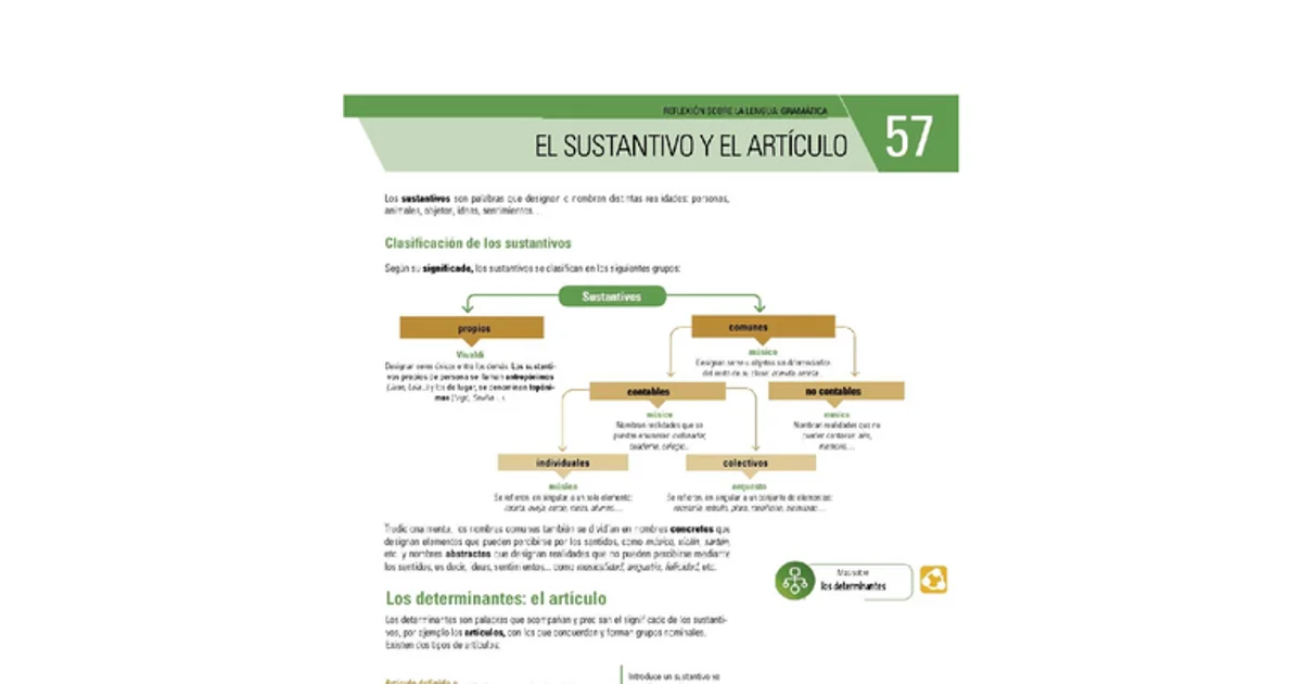 El Sustantivo y el Artículo | Algor Library