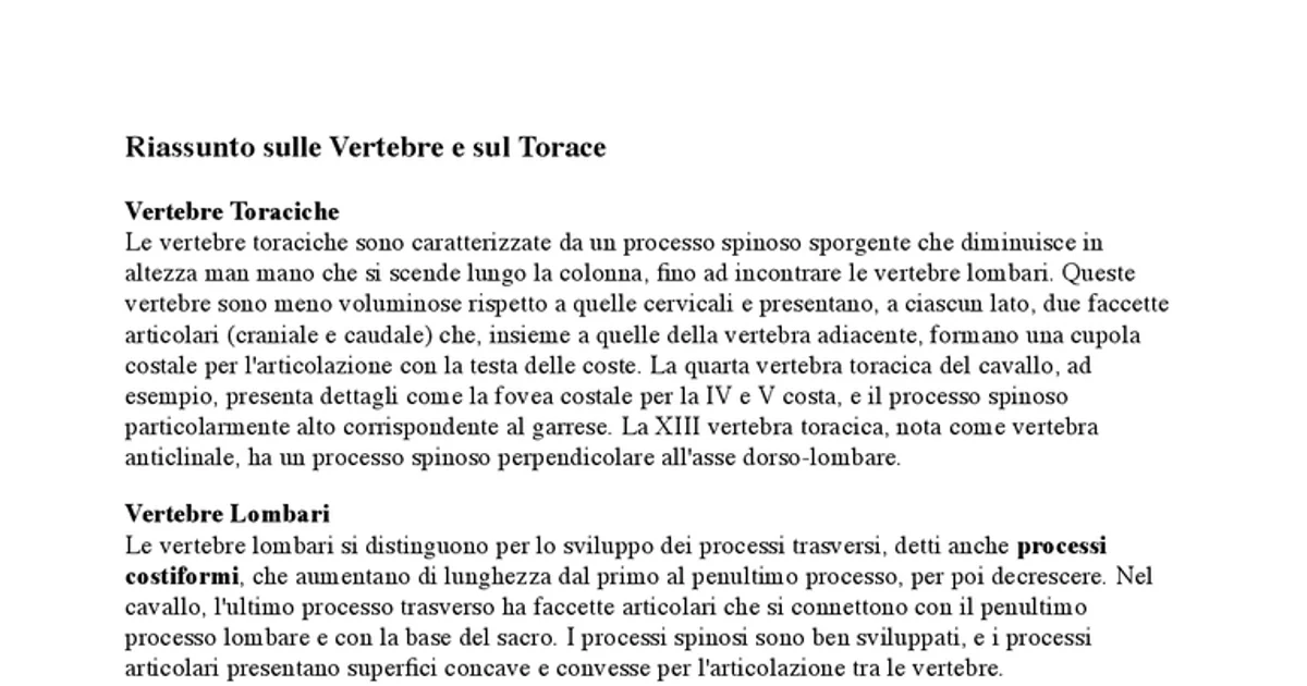 Riassunto sulle Vertebre e sul Torace | Algor Library