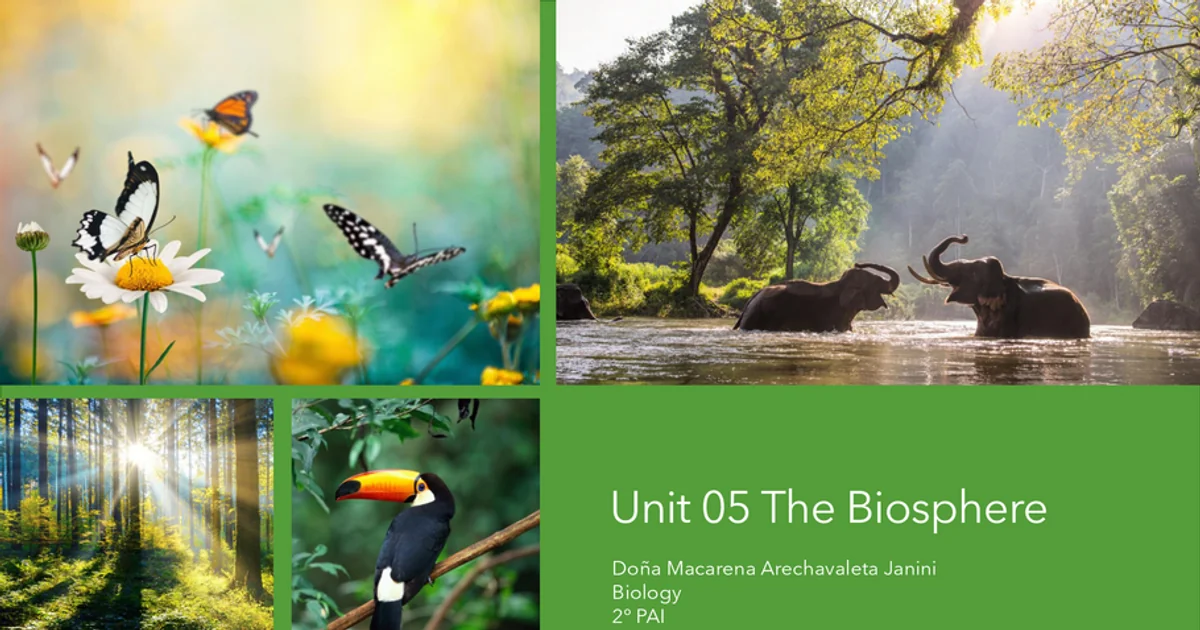 Unit 05 The Biosphere | Algor Library