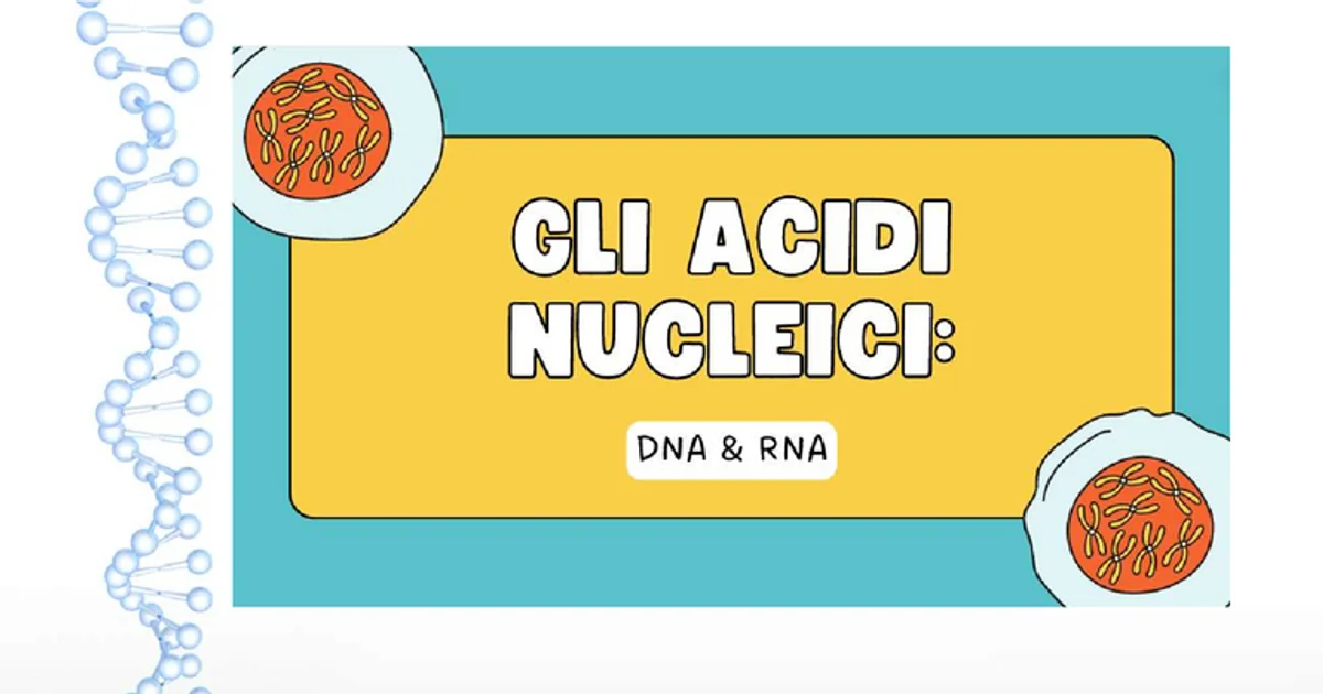 Acidi Nucleici, DNA e RNA | Algor Library