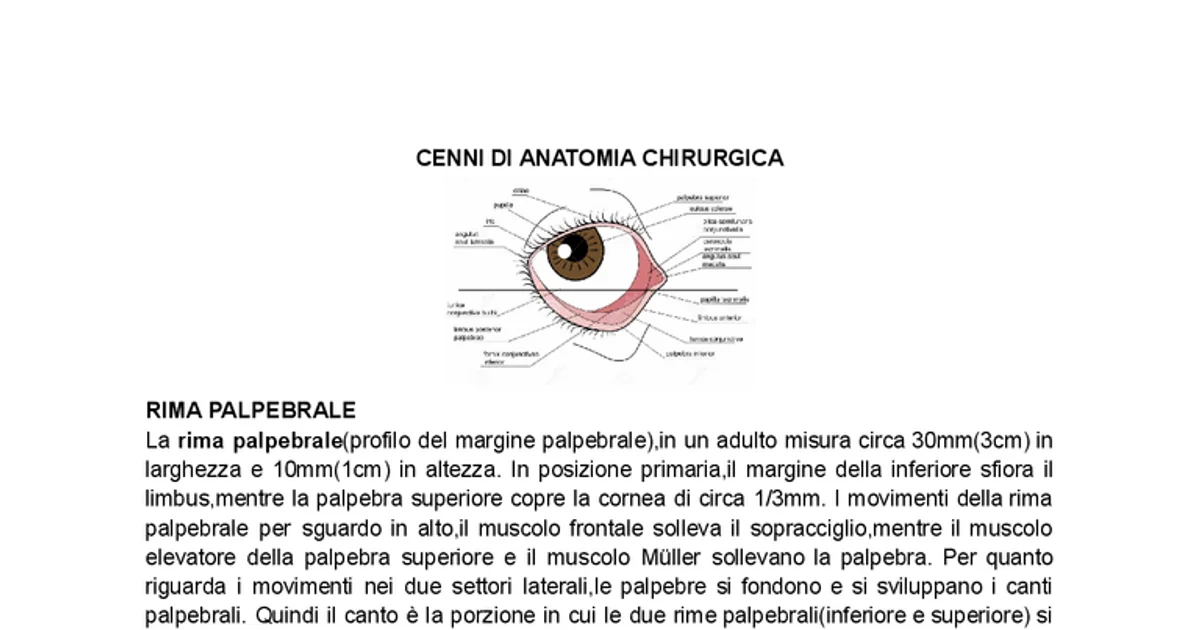 Cenni di Anatomia Chirurgica | Algor Library