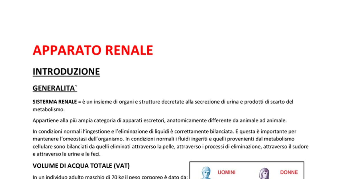 Apparato Renale, Biologia | Algor Library