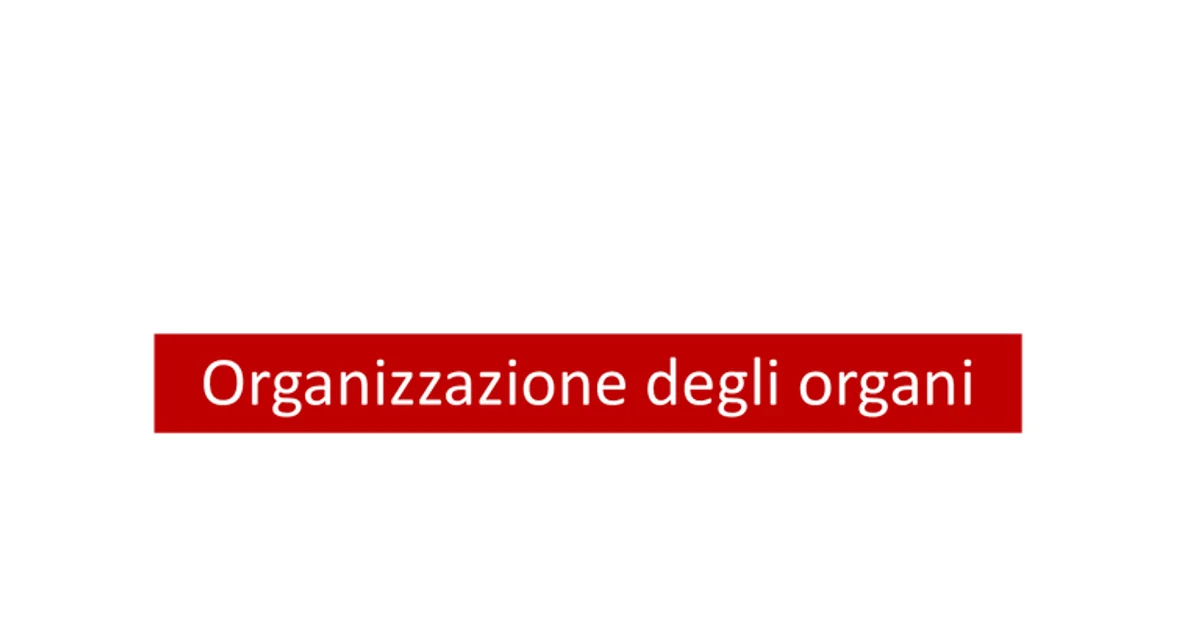Organizzazione degli Organi | Algor Library