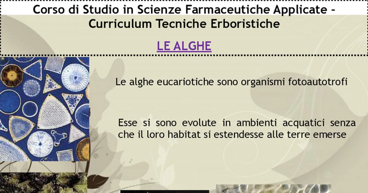 Le Alghe, Scienze Farmaceutiche Applicate | Algor Library