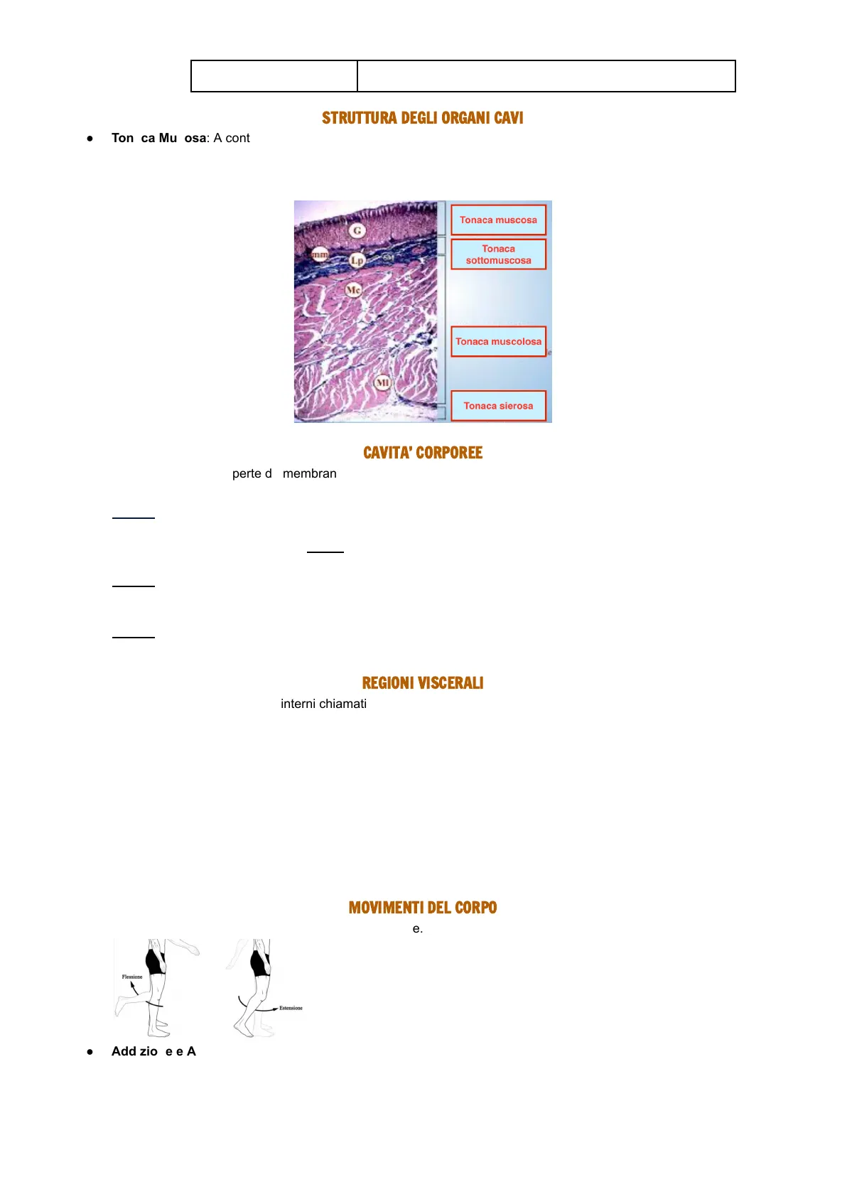 Introduzione allo Studio dell'Anatomia | Algor Library