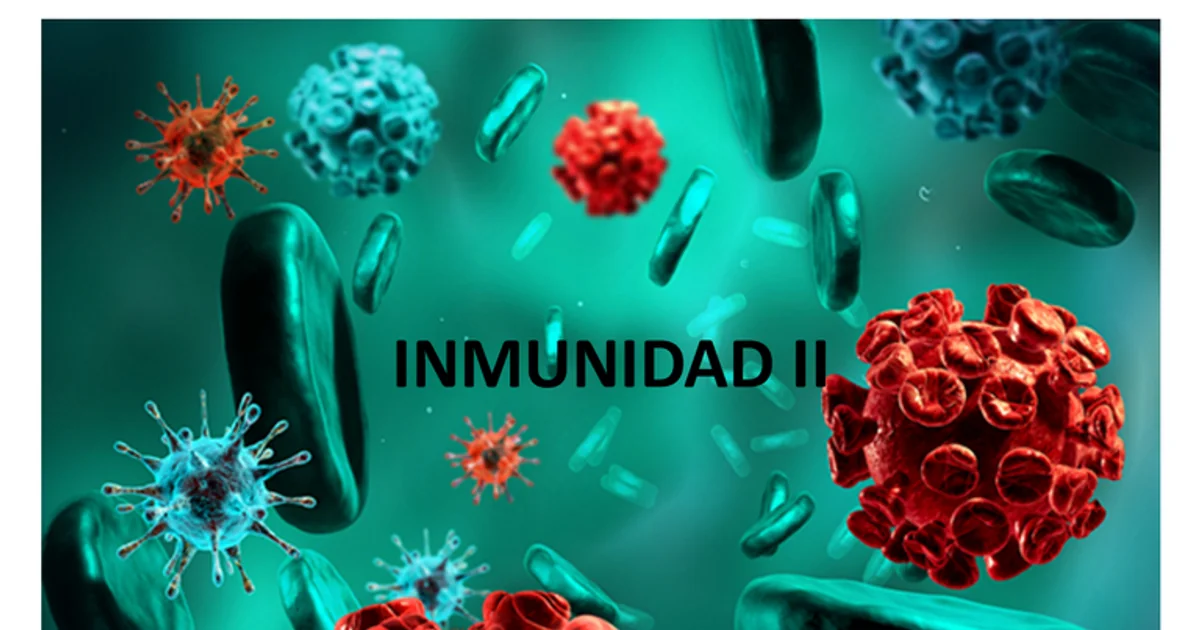 Inmunidad II, Biología | Algor Library