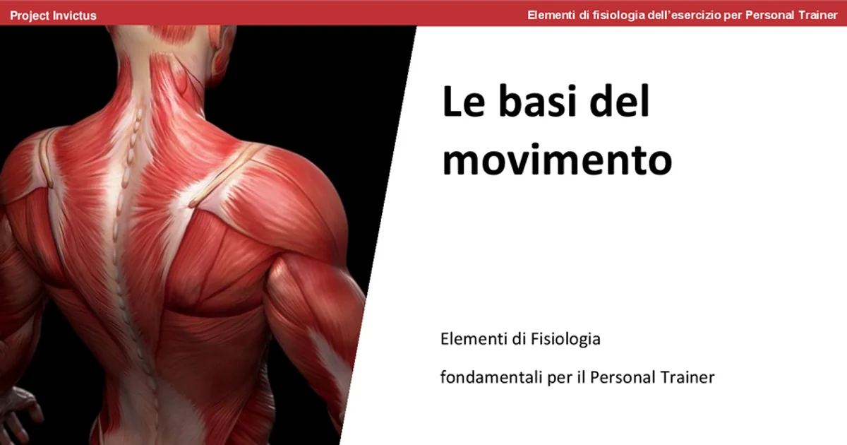 Le Basi del Movimento, Project Invictus | Algor Library