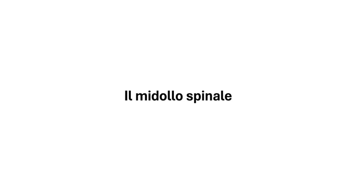 Il Midollo Spinale, Frontiers | Algor Library