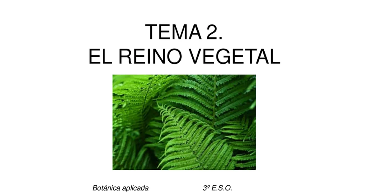 Tema 2, El Reino Vegetal | Algor Library