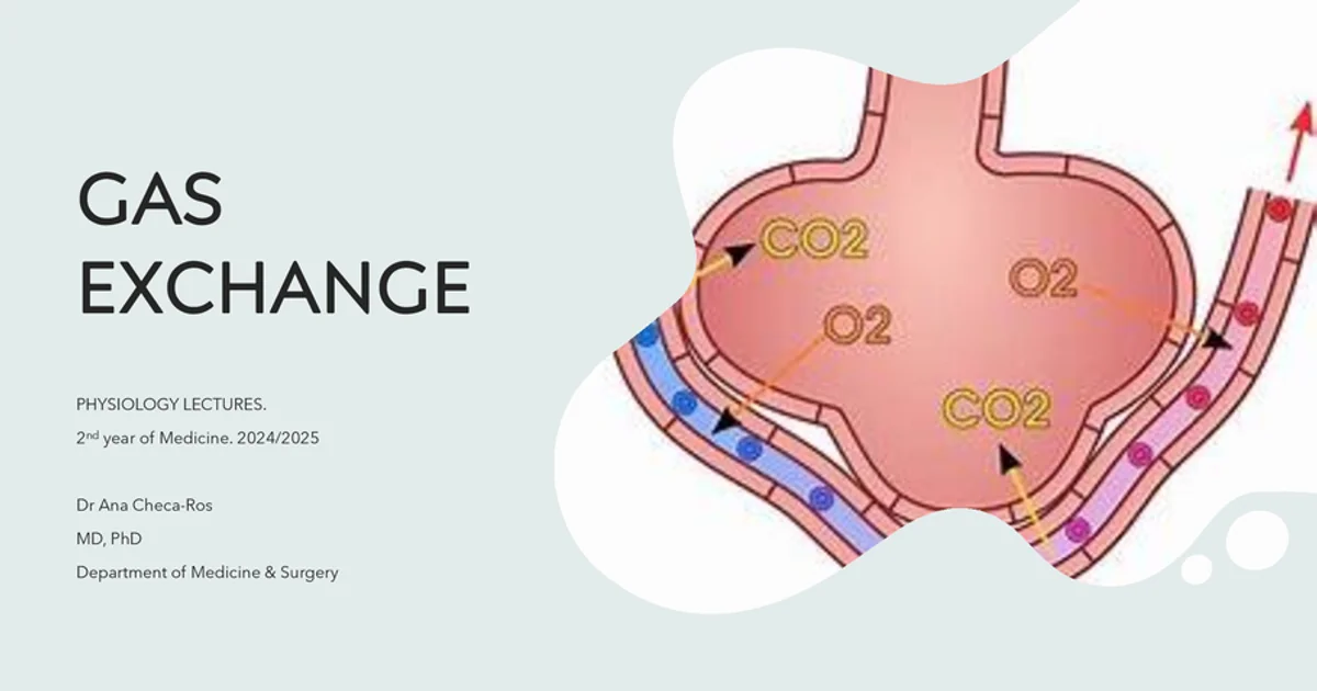 Gas Exchange, Department of Medicine & Surgery | Algor Library