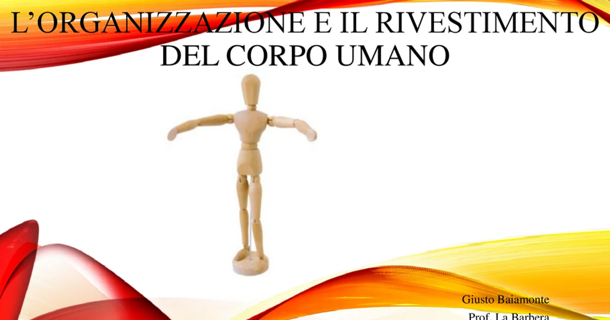 Organizzazione e Rivestimento del Corpo Umano | Algor Library