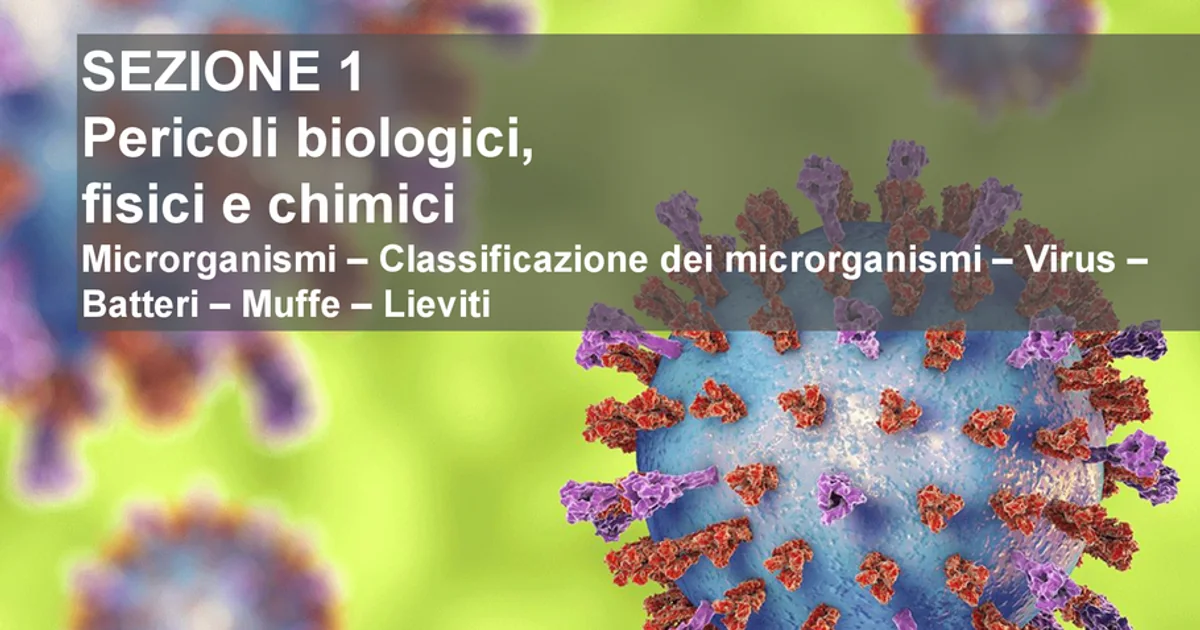 Pericoli biologici, fisici e chimici | Algor Library