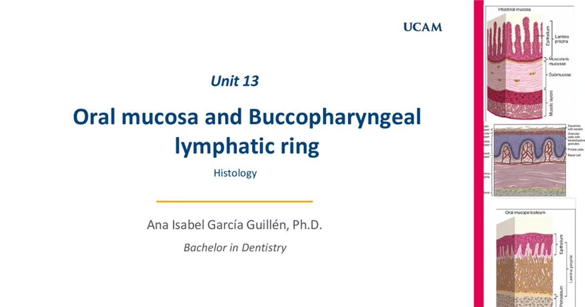 Oral Mucosa, UCAM | Algor Library