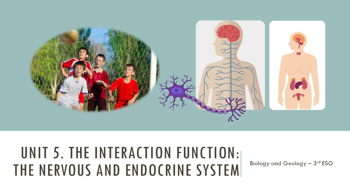 Unit 5. The Interaction Function | Algor Library