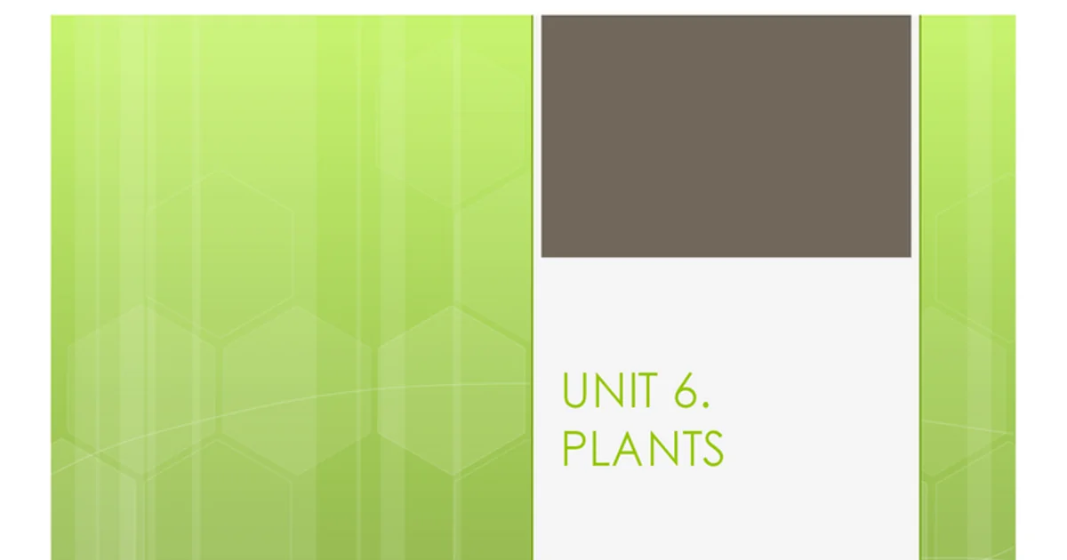 Unit 6. Plants | Algor Library