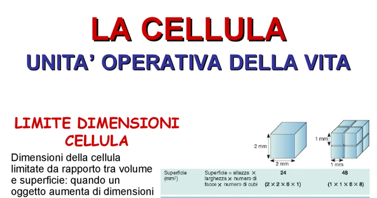 La Cellula Unità Operativa della Vita | Algor Library