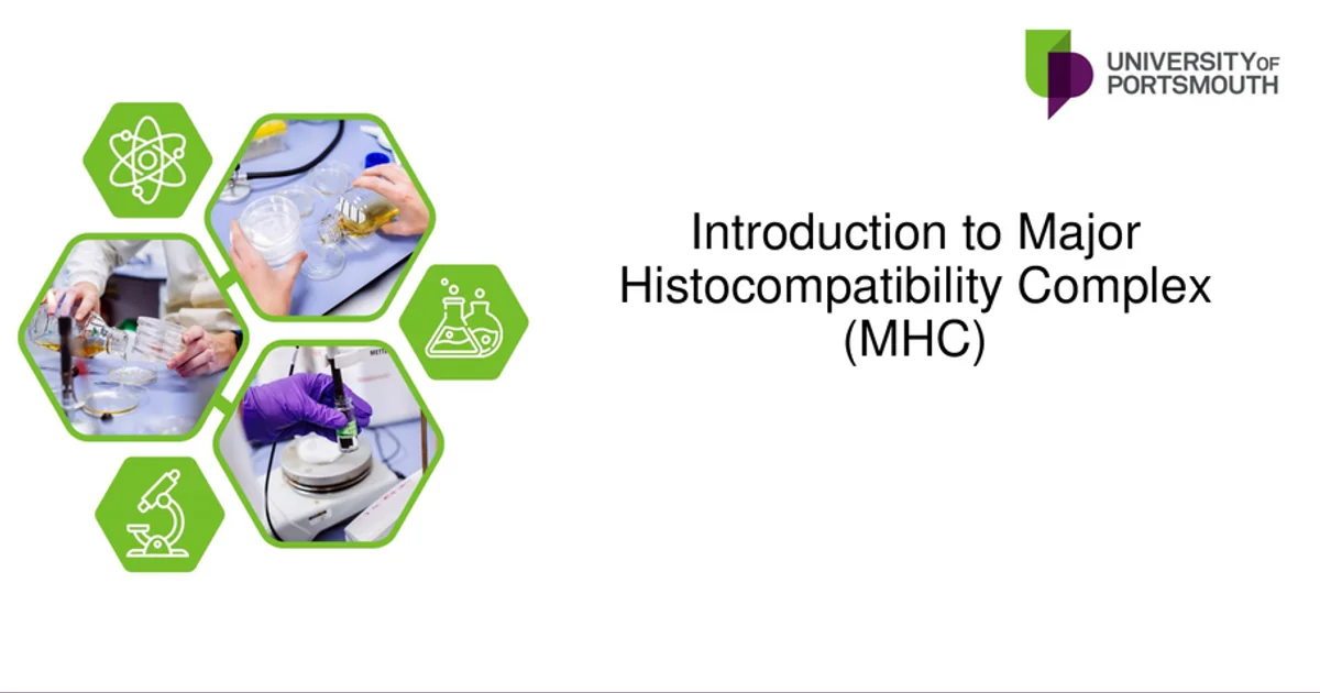Introduction to Major Histocompatibility Complex, University of ...