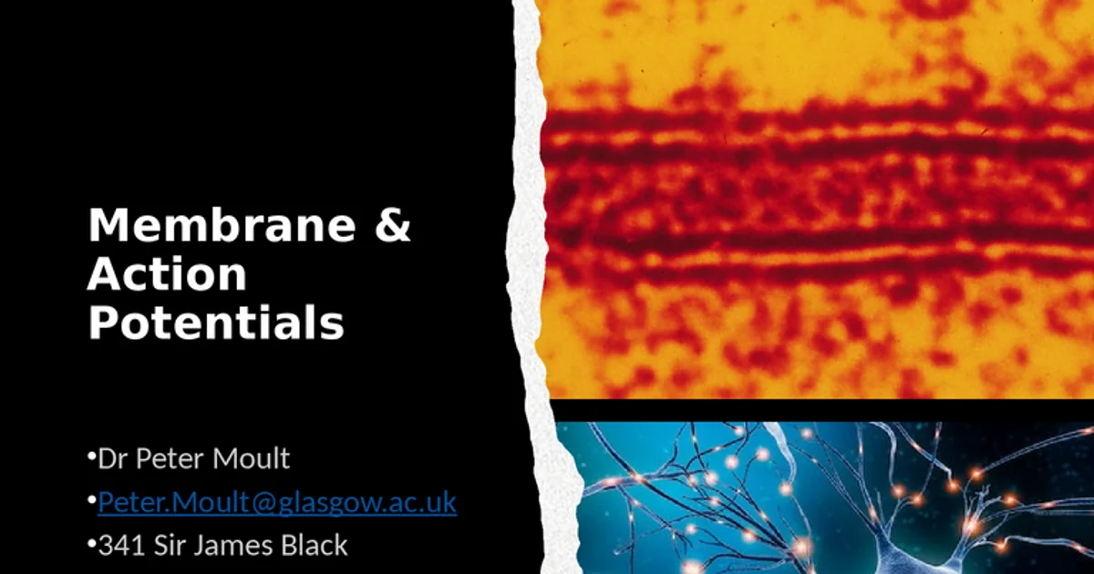 Membrane & Action Potentials, University of Glasgow | Algor Library