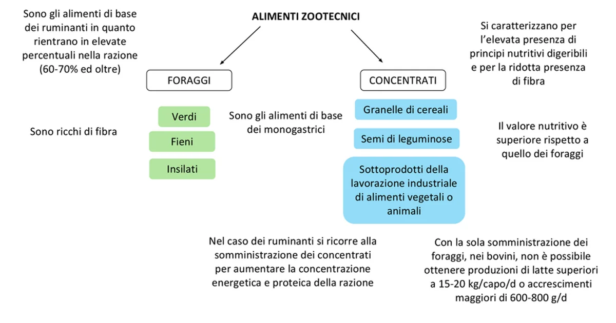 Alimenti Zootecnici, Foraggi e Insilamento | Algor Library