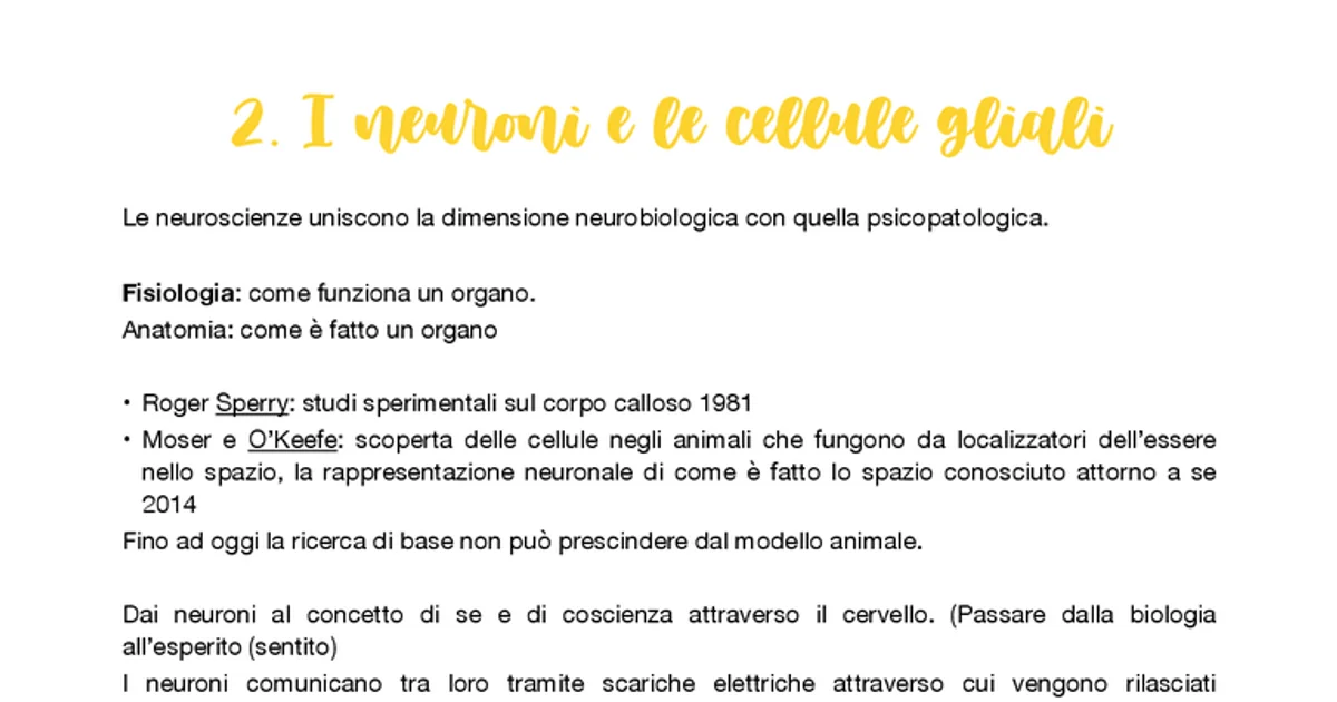I Neuroni e le Cellule Gliali | Algor Library