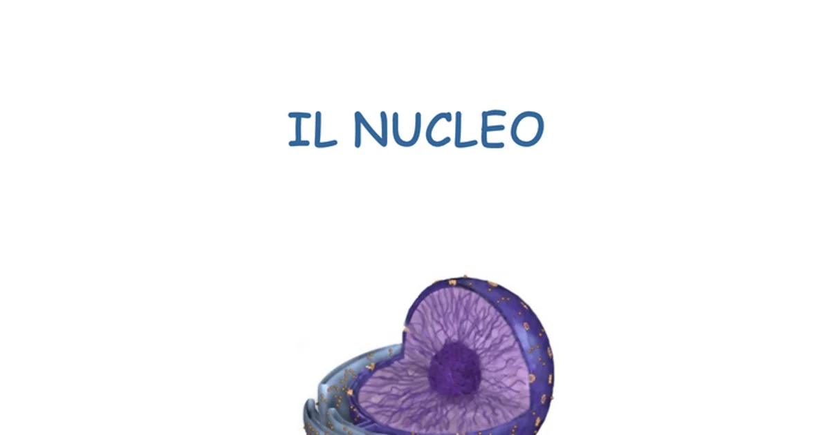 Il Nucleo Cellulare, Biologia | Algor Library