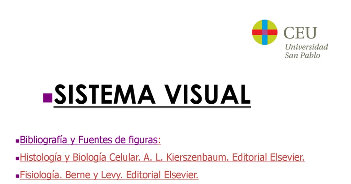 Sistema Visual, CEU USP | Algor Library