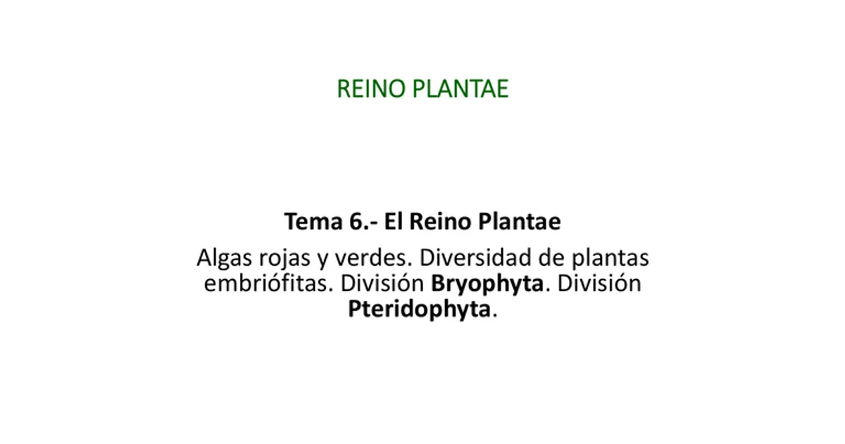Reino Plantae, Características | Algor Library