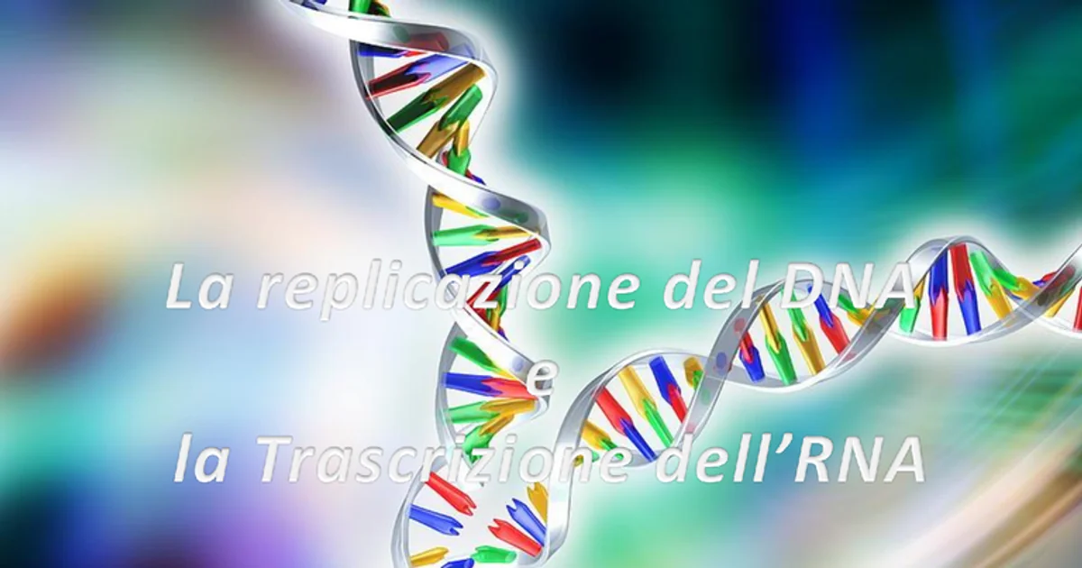 Replicazione DNA, Trascrizione RNA | Algor Library
