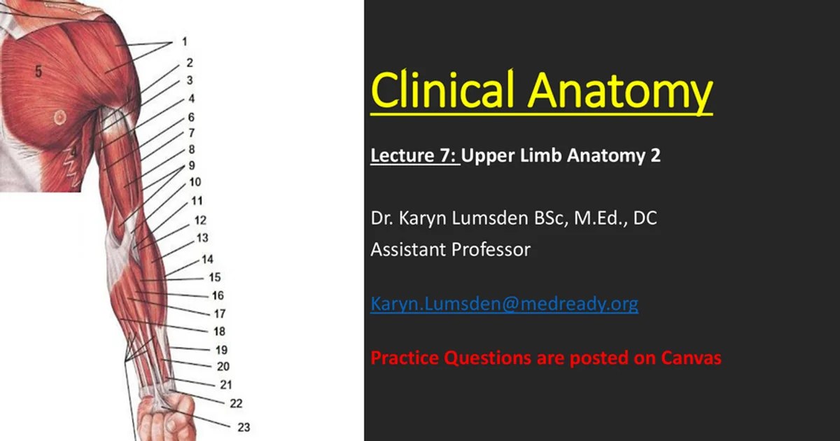 Clinical Anatomy | Algor Library