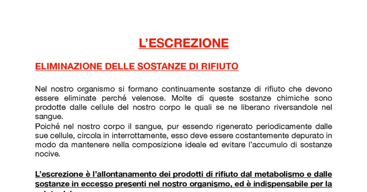 L'escrezione, Prof.ssa Fusari Sara | Algor Library