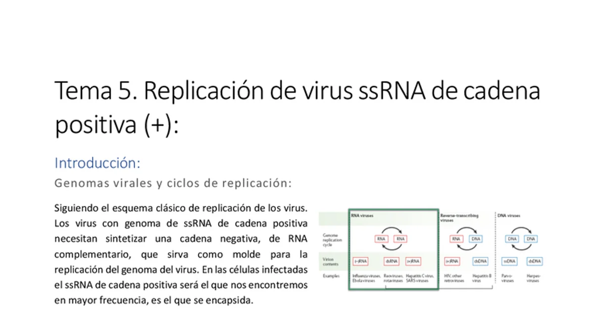 Replicación de Virus ssRNA Cadena Positiva | Algor Library