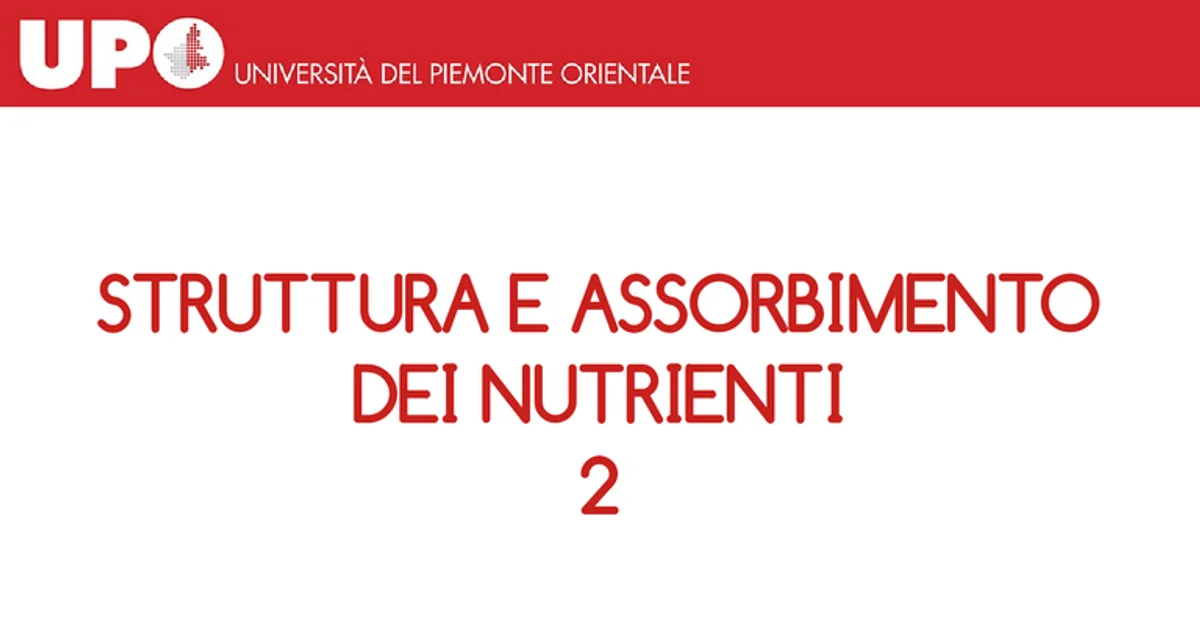 Struttura e Assorbimento Nutrienti, UPO | Algor Library