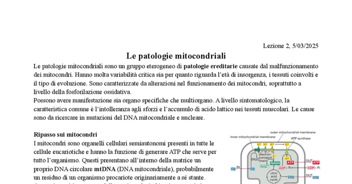 Le Patologie Mitocondriali | Algor Library
