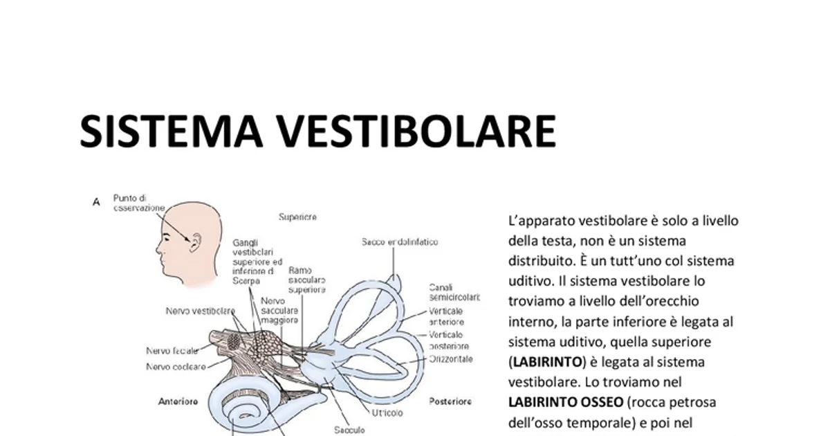 Sistema Vestibolare | Algor Library
