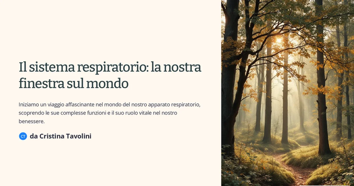 Sistema Respiratorio, La Nostra Finestra Sul Mondo | Algor Library