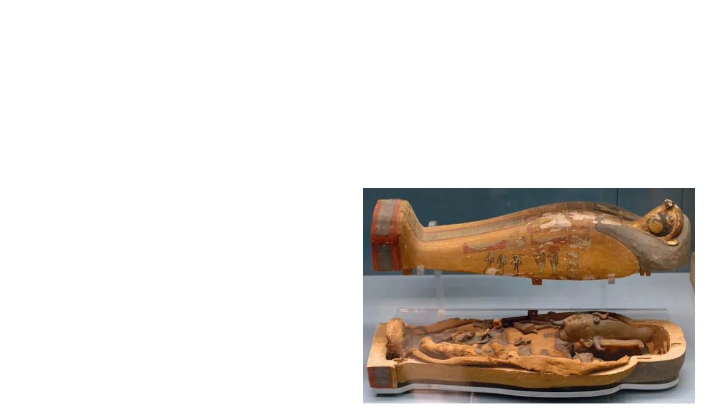 La Mummificazione nell'Antico Egitto | Algor Library