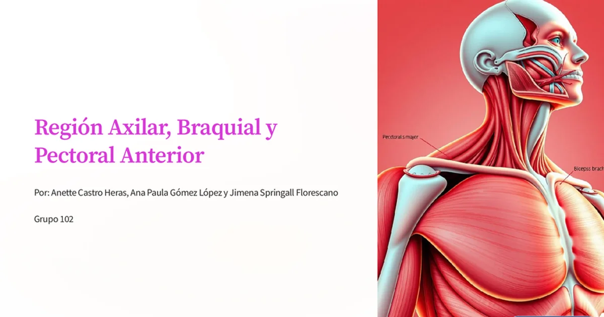 Región Axilar, Braquial y Pectoral Anterior | Algor Library
