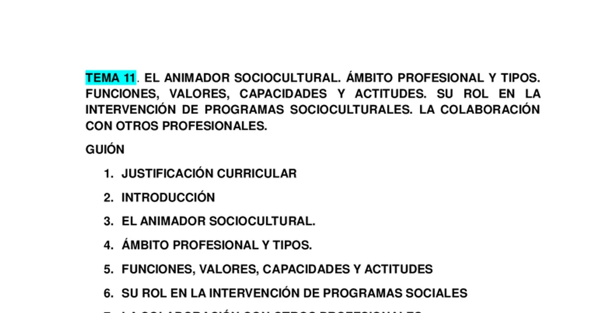 Animador Sociocultural, Ámbito Profesional | Algor Library