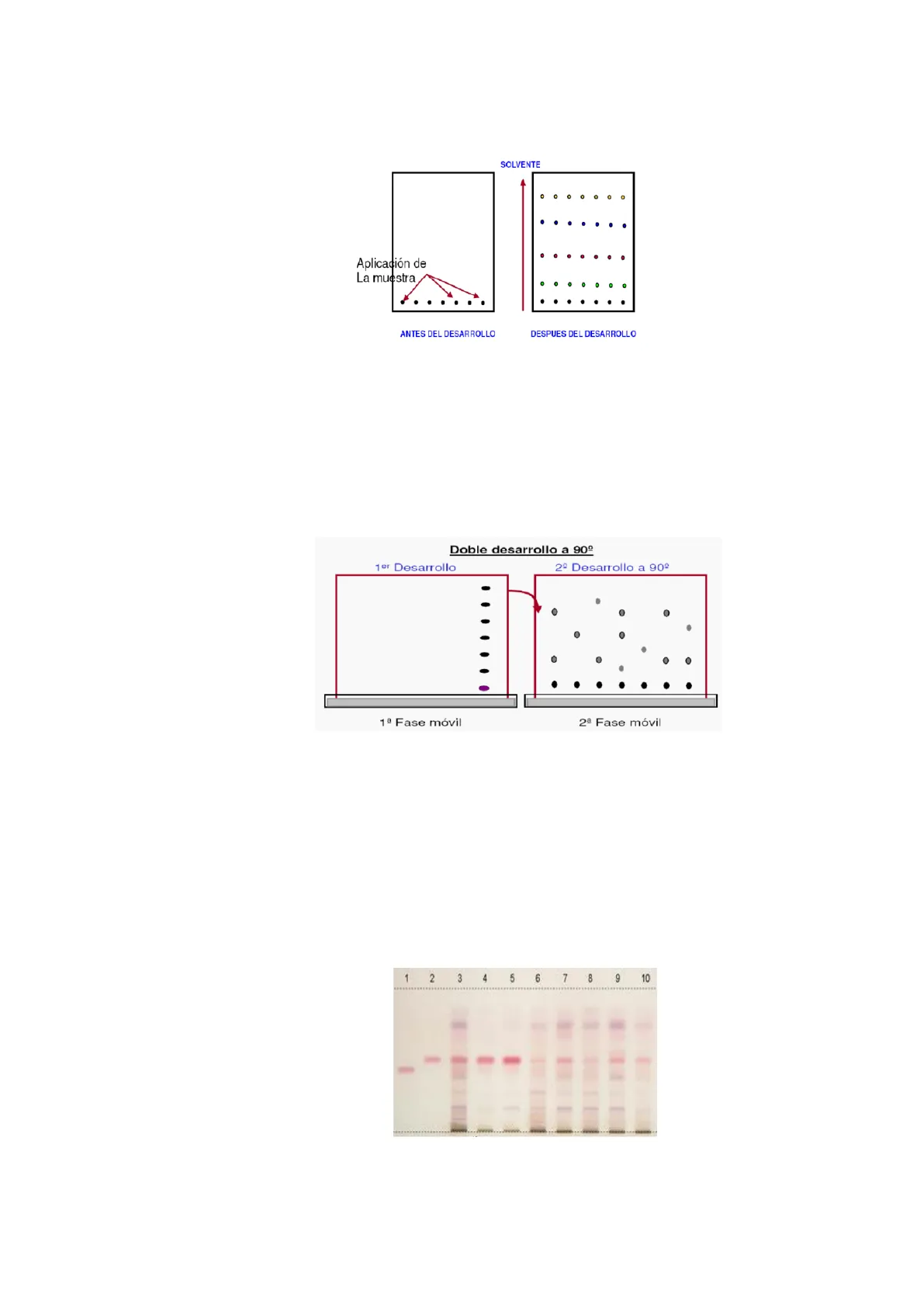 Cromatografía Líquida, Química | Algor Library