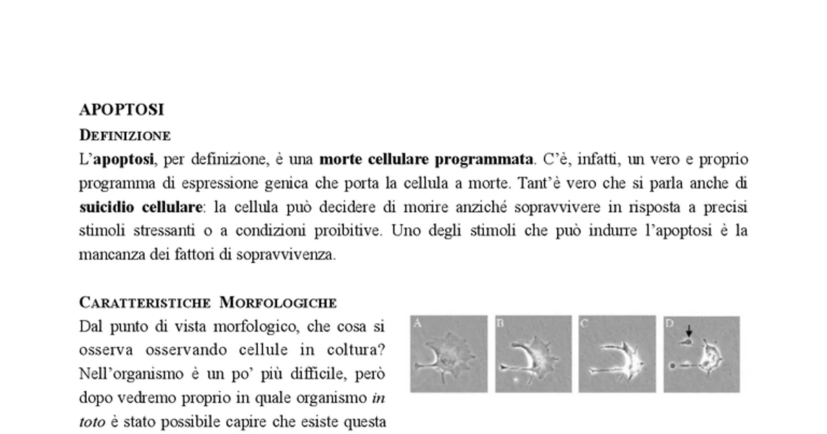Apoptosi, Morte Cellulare Programmata | Algor Library