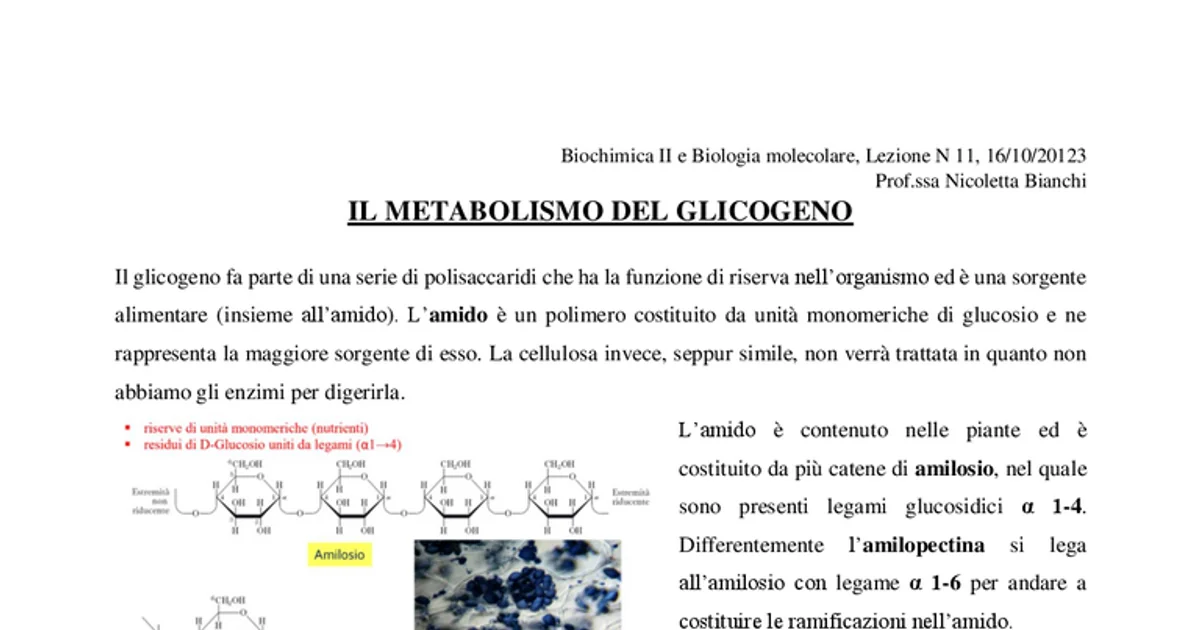Il Metabolismo del Glicogeno, UNIFE | Algor Library