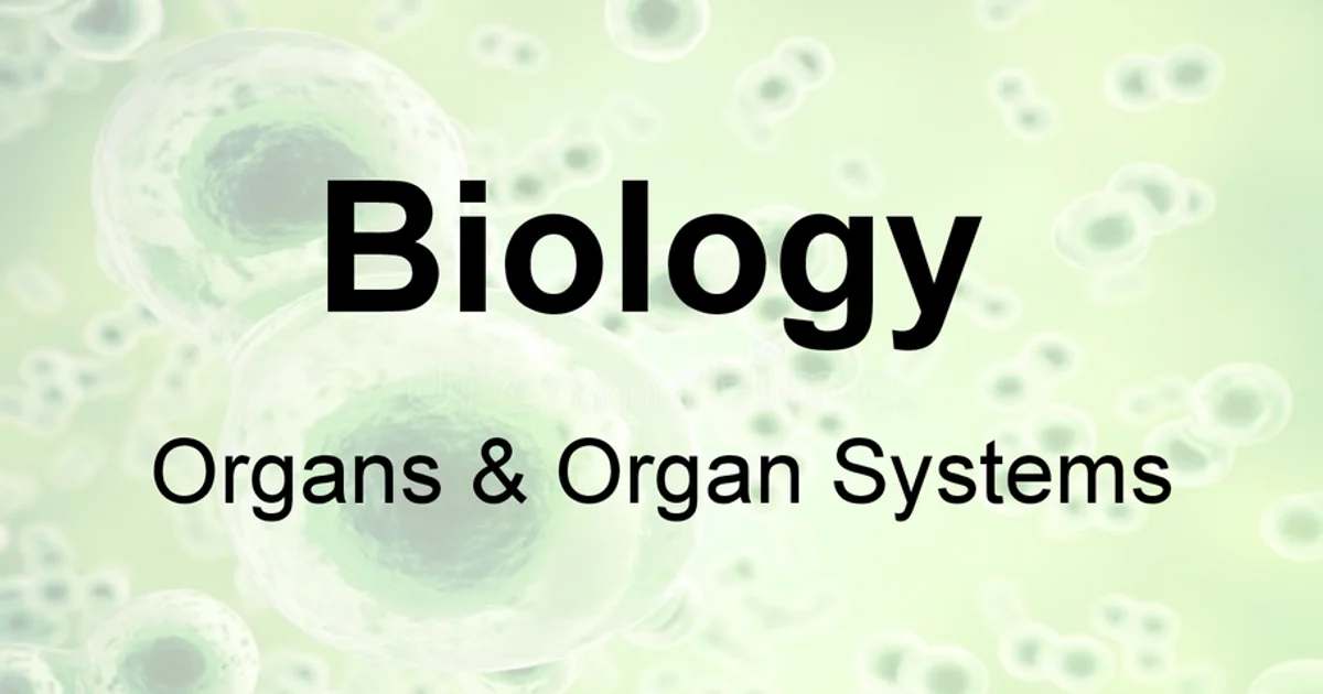 Biology Organs & Organ Systems | Algor Library