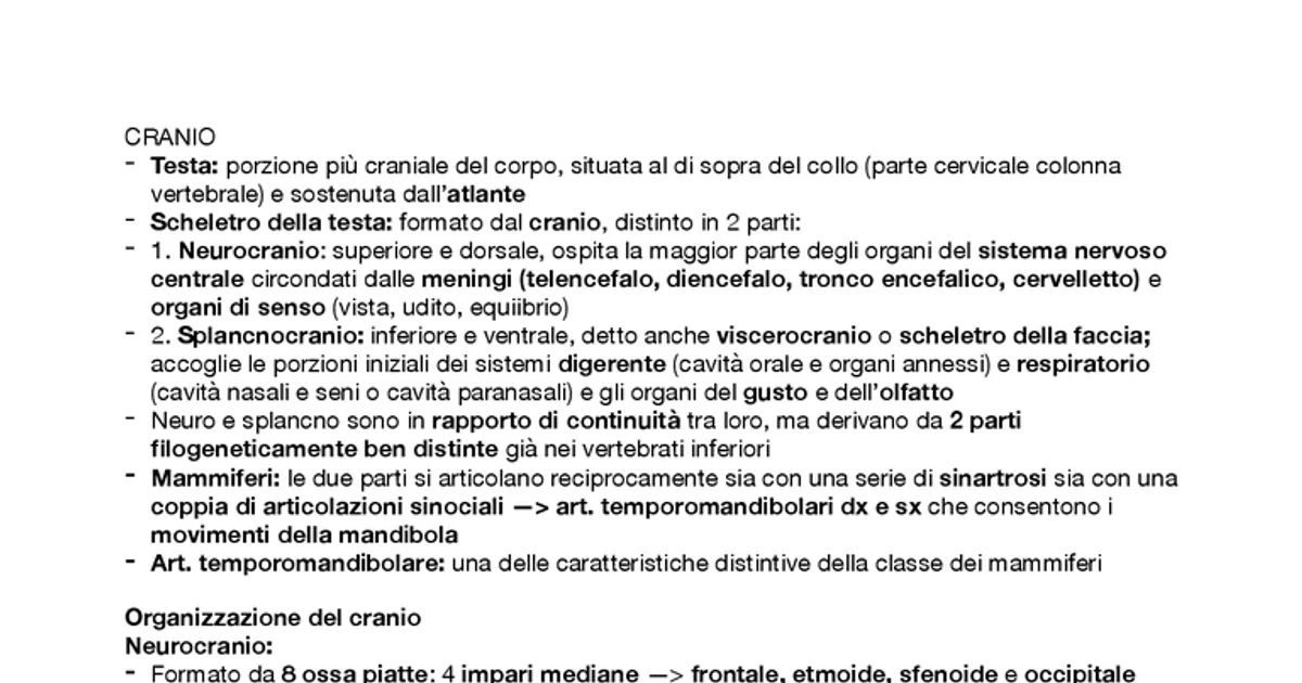 Cranio, Anatomia Dettagliata | Algor Library
