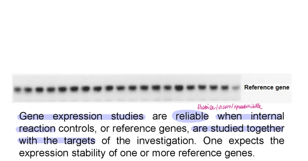 Gene Expression Studies | Algor Library