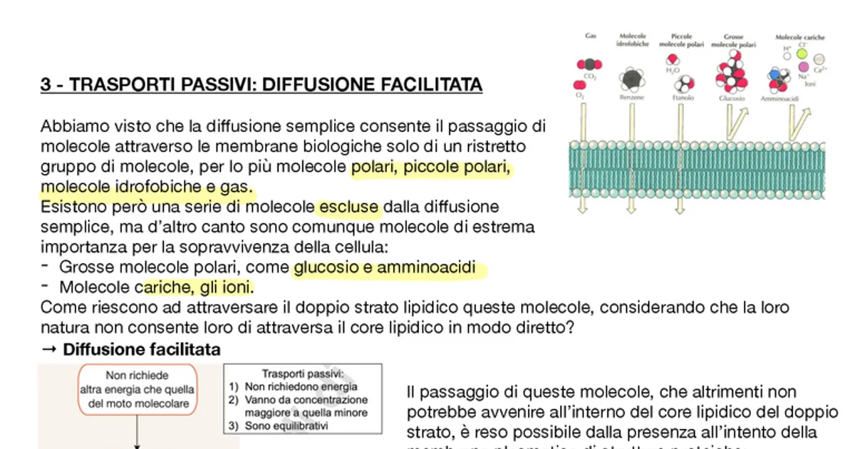 Trasporti Passivi, Diffusione Facilitata | Algor Library
