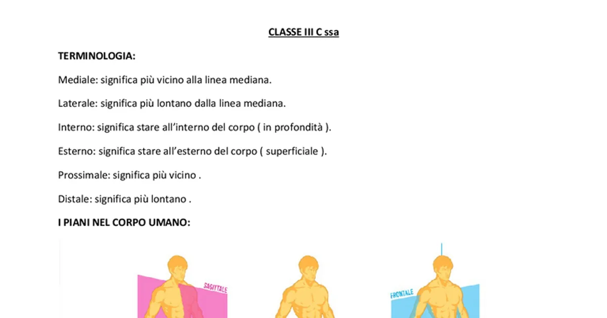 Anatomia Umana, Terminologia e Piani Corporei | Algor Library